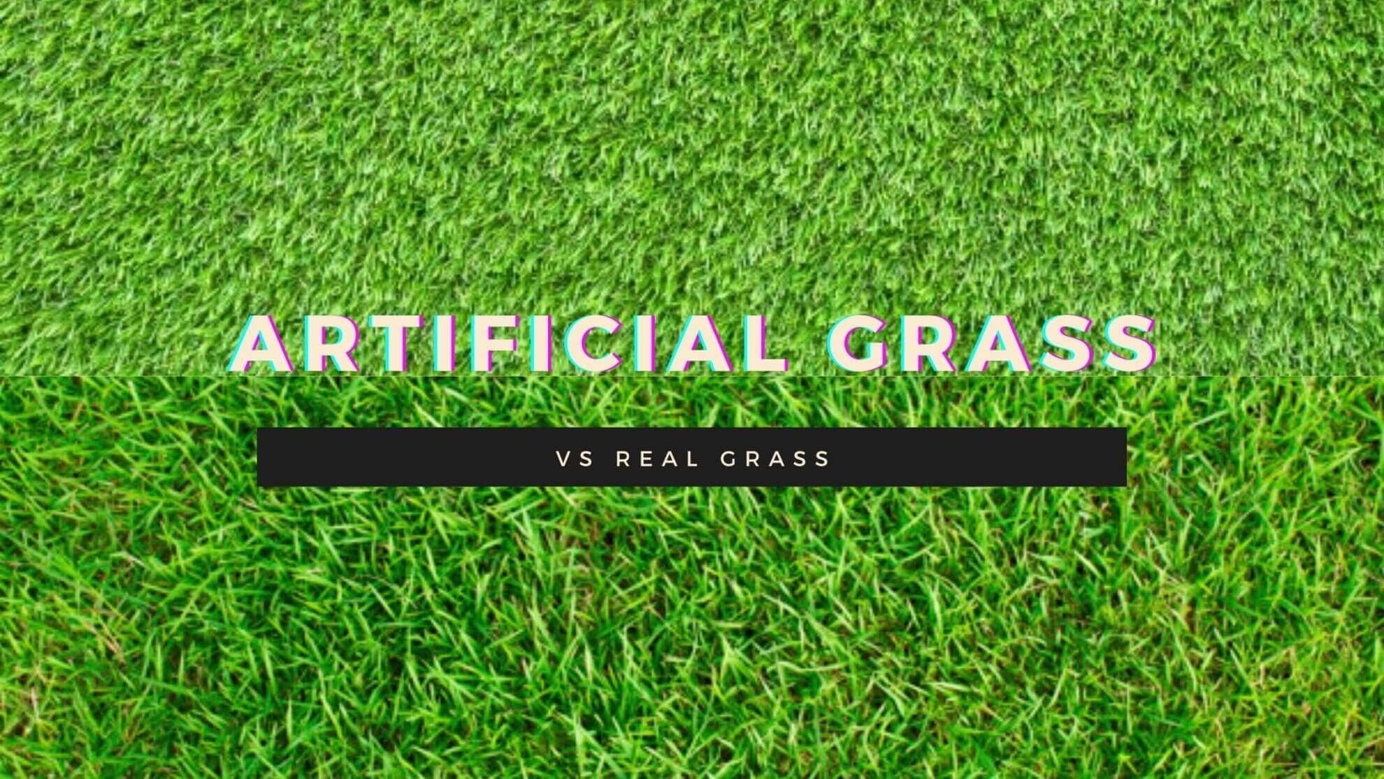 Artificial Grass vs Real Grass - 10 Critical Differences to Keep in Mind