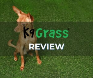 K9 Grass Reviews | K9Grass Cost | Features & Alternatives